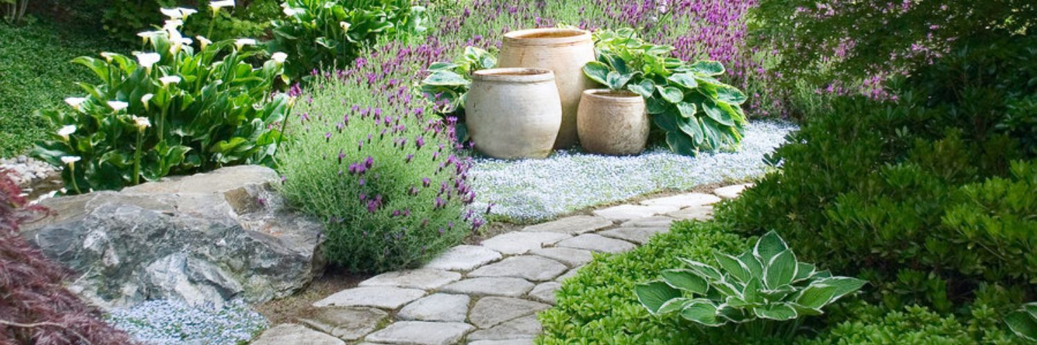 Key Principles of Landscape Design to Keep In Mind | Cedreo