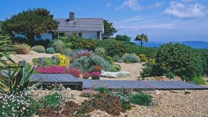 Your Complete Guide to Landscape Design | Cedreo