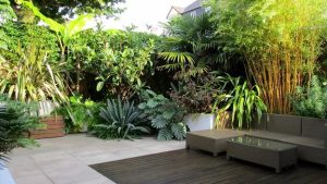 Common Landscape Design Styles & How To Achieve Them | Cedreo